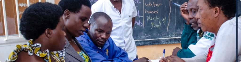 Transformations System Delivery – LGI